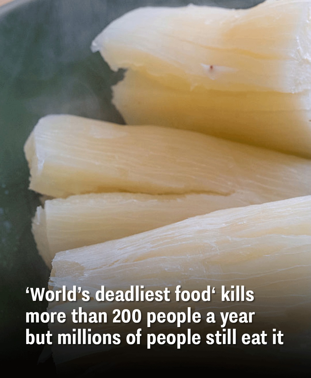 ‘World’s deadliest food‘ kills - HORIZON VIBE