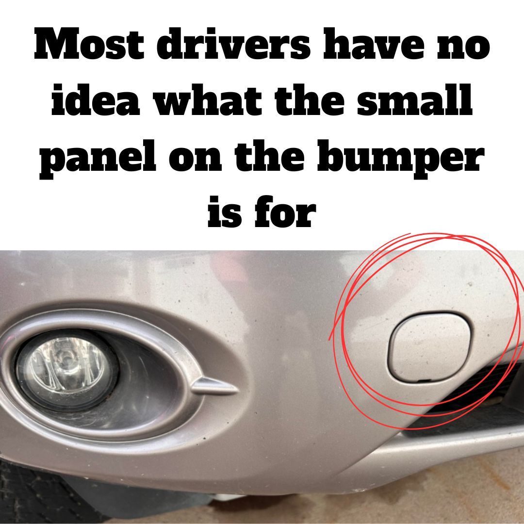 Small Panel on Bumper: Why It’s There - HORIZON VIBE