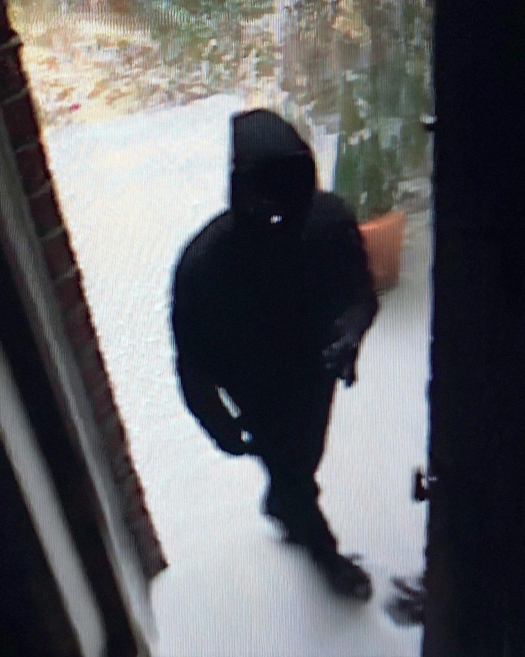 I Noticed Strange Movements at Home - HORIZON VIBE